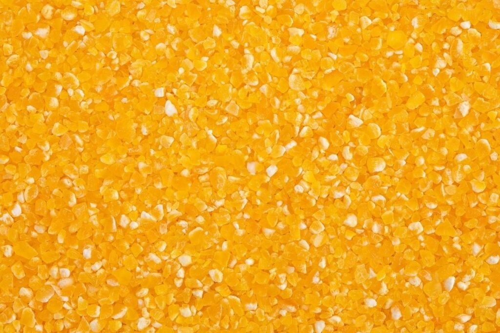 Corn Grits Supplier – High-Quality Maize Grits for Export